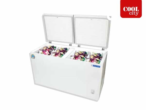 Blue Star 301 L Double Door Standard Deep Freezer (White, CHFDD300MGPW ...